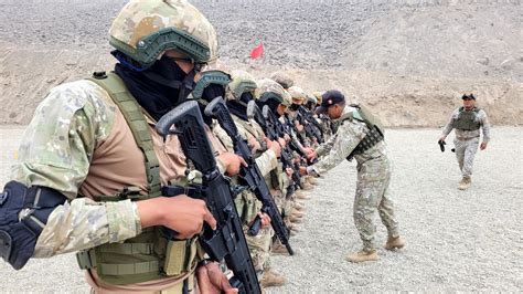 Fame Entrega 500 Fusiles De Asalto Arad 7 Al Ejército Perú Noticias Defensa Perú