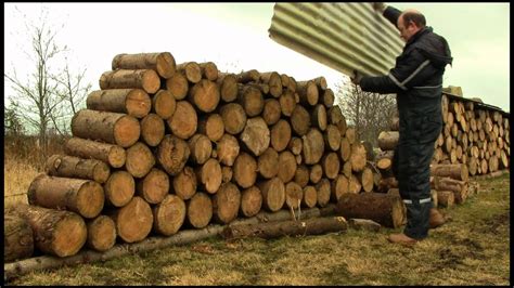 Drying Firewood in the Forest - YouTube