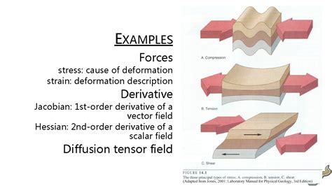 Cis 49306930 902 Scientific Visualization Tensor Field Visualization