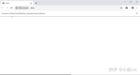 使用excel vba和selenium 知乎