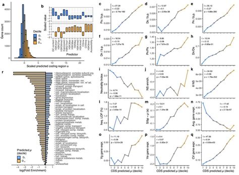 Functionally Constrained Genes Have Lower Predicted Mutation Rates