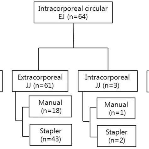 Methods Of Jejunojejunostomy According To The Methods Of Download