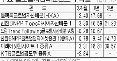 글로벌 투자 헷갈릴땐 자산배분펀드를