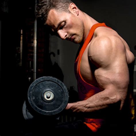 Force Factor 2 Próxima Generación óxido Nítrico Booster Ffs Vlc120xx Fg