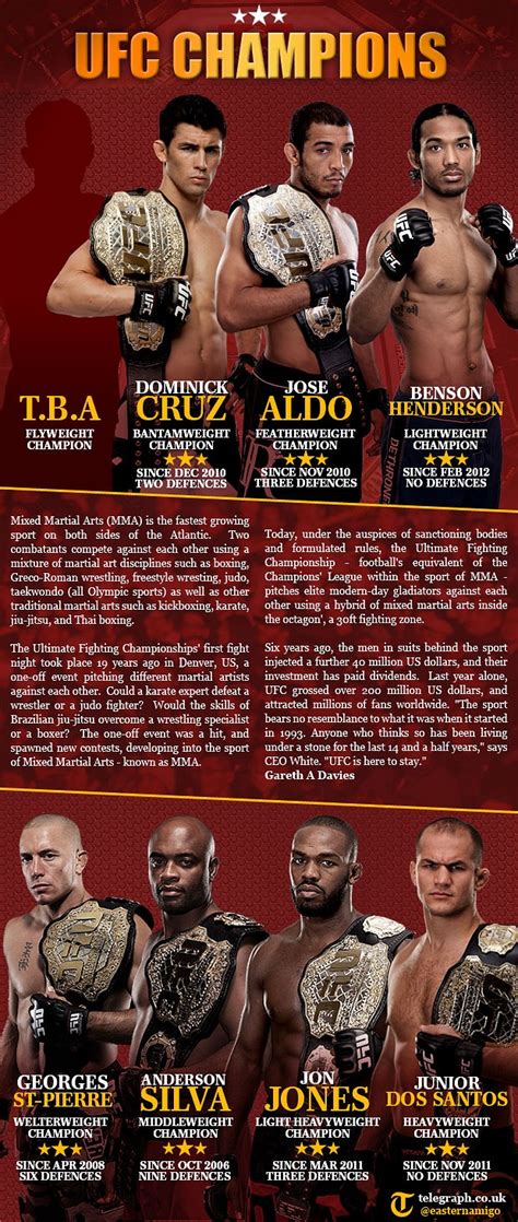 Guide To The Ufc