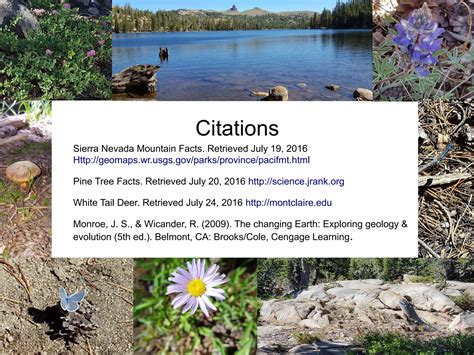 Field Assignment Pdf