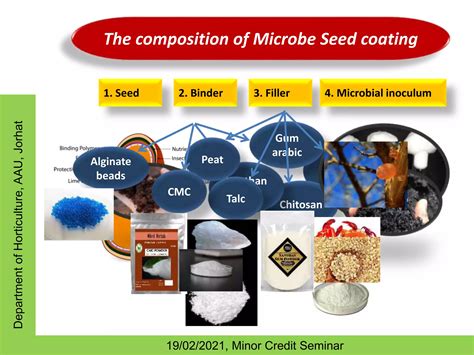 Microbial Seed Coating Pptx