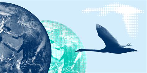 Biodt A Digital Twin Prototype To Help Protect And Restore Biodiversity Csc