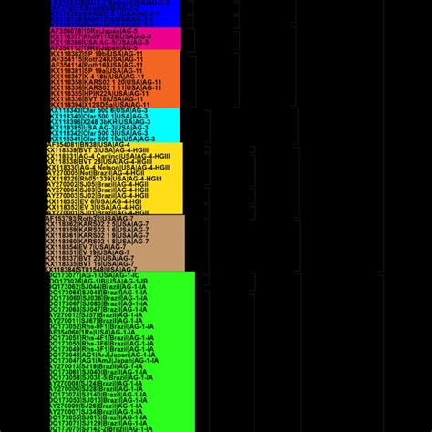 Genetic Relatedness Among The Ag From Soybean Maximum Likelihood Ml Download Scientific