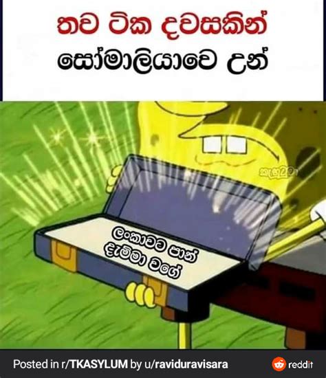 Paw Api 😒 Rtkasylum