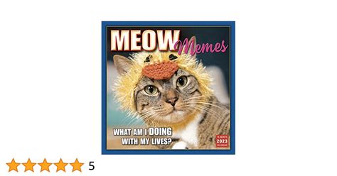 Meowl Memes