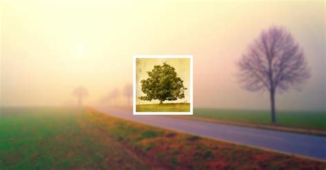 Obituary Brian Keith Melzer Of Marshfield Missouri Day Funeral Home