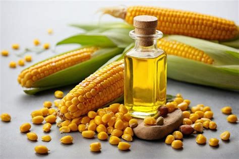 Corn Oil Refining
