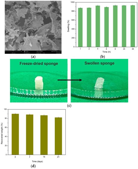 Amine Functionalized Gellan Gum Based Hydrogel Loaded With Adipose Stem Cell Derived Small
