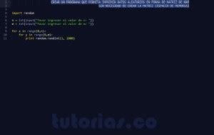 Ciclo For Python Datos En Forma De Matriz Tutorias Co