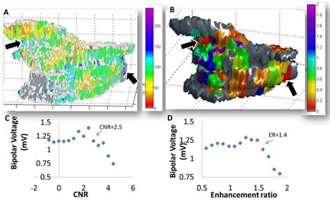 Atrial Fibrosis Segmentation Thresholds A Theoretical And Empirical