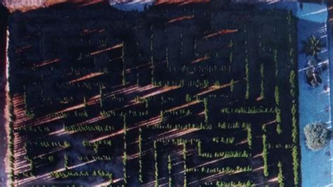 Un Laberinto Gigante Para Perderse En El Lago De Anna Levante Emv