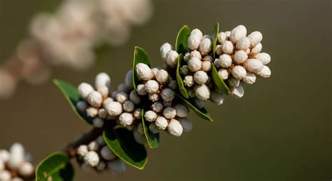 Planetary Boundary Liability → Term