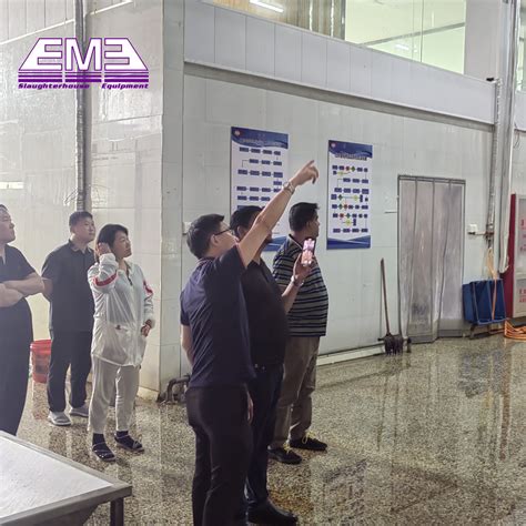 Eme Professional Beef Processing Machinery Cattle Abattoir Cow