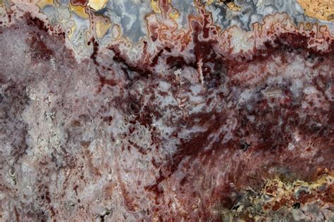 88 Polished Rainbow Agate Slab Oregon 229066 For Sale