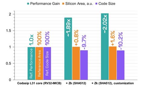 Effectively Hiding Sensitive Data With Risc V Zk And Custom