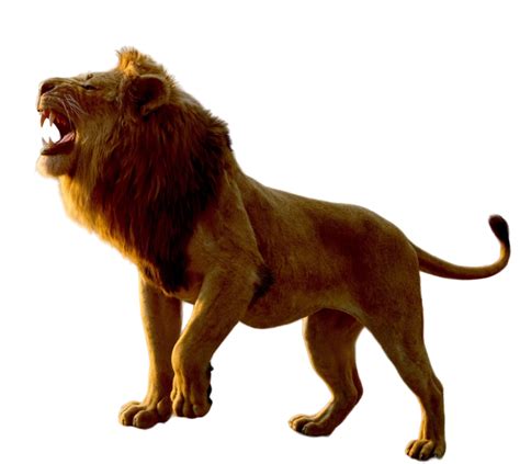 Simba 2019 Png By Jakeysamra On Deviantart