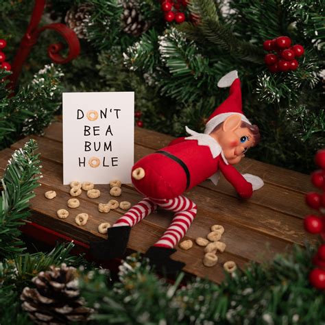 The Everyday Elf Idea Pack 2024 Porky Penguin