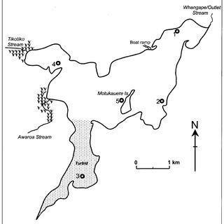 Lake Whangape With Sampling Sites Marked As Download Scientific Diagram