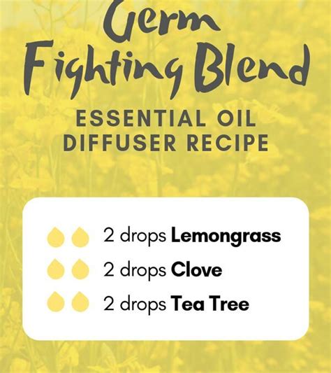 Germ Fighting Essential Oil Diffuser Recipe The Natural Side