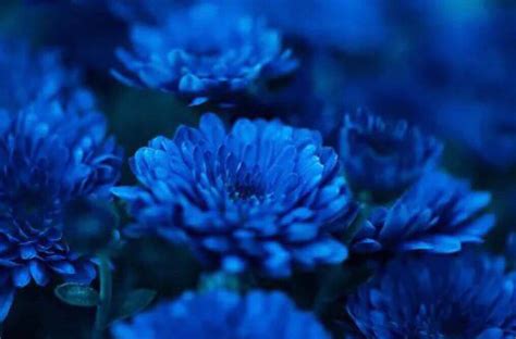 Plot Archive Wiki Roleplay Amino