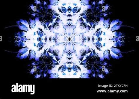 Filigree Structure Stock Videos And Footage Hd And 4k Video Clips Alamy