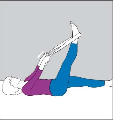 Home Exercise Program Musculoskeletal Key