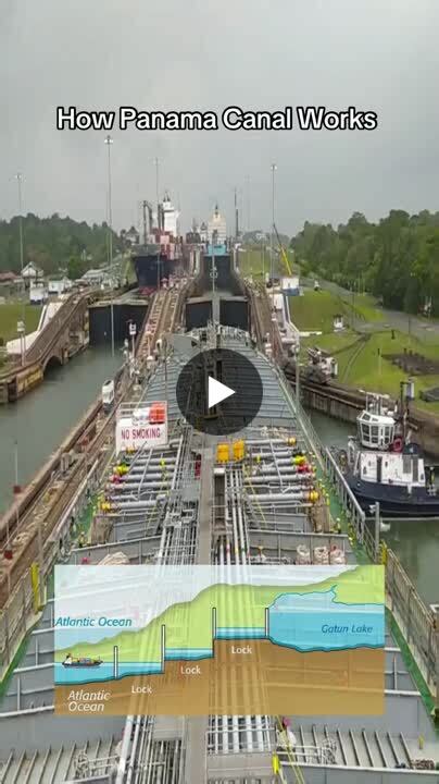 Shipping Oceanfreight Sarah Mazoue