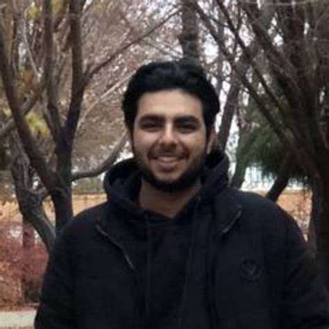 Mohammad Taha Naderzadeh Web Developer Rabean رابین Linkedin