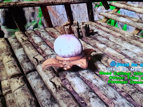 Thats So Cool I Didint Know Spider Had This Unique Of A Egg R Ark