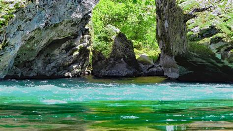 Water Rocks Forest Free Stock Video Pixabay