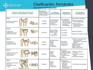 Fractura De Radio Distal En Adultos Pptx