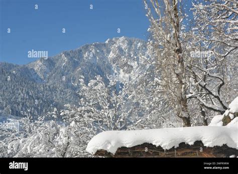 Winter Season Of Valley Kaghan Naran After Heavy Snowfall Snow Fall