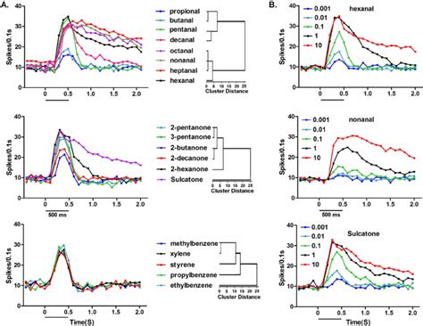 Temporal Dynamics Of Olfactory Sensilla In Response To Human Odorants