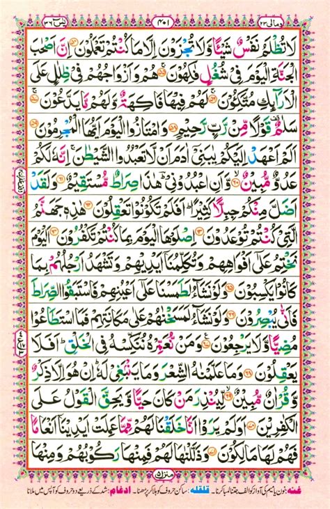 Surah Yasin E Online Quran