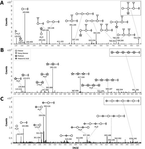 Representative Tandem Ms Spectra Of Oligosaccharides