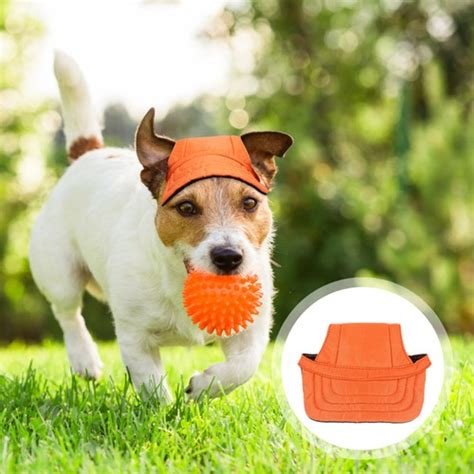 Baseballmütze Für Hunde Haustier Welpen Kopfbedeckung Haustierhut Ebayde