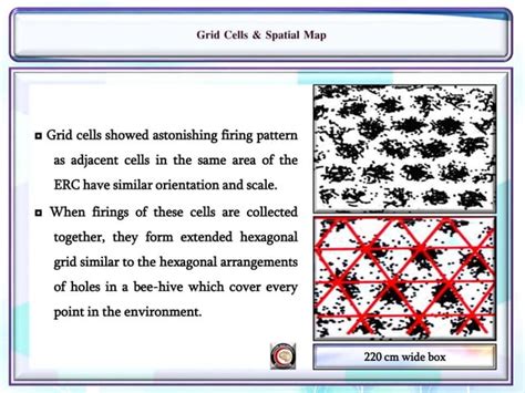 Spatial Navigation And Alzheimers Disease Revised 2018 Ppt