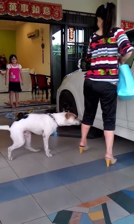 妈妈系列 日常欢迎妈妈回家的欢乐 Youtube