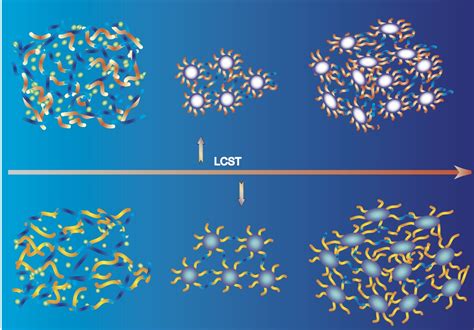 Lcst1 Okinawa Institute Of Science And Technology Oist