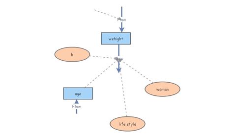 Diet Model Insight Maker