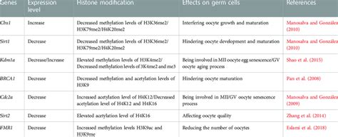 Effects Of Histone Modifications On Germ Cells Download Scientific Diagram