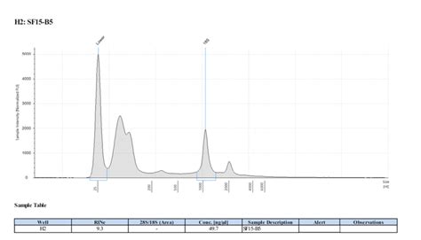 Rna Sequencing High Rin But Low Dv200 On Tapestation
