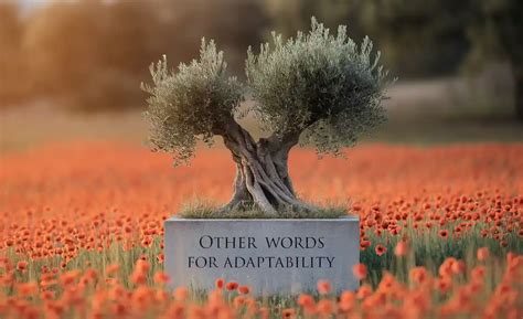 Other Words For Adaptability Essential Synonyms Poweruptips