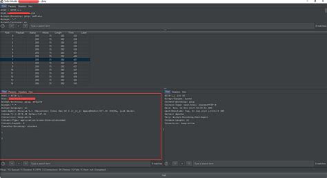 Prefix Not Showing In Turbo Intruder · Issue 25 · Portswigger Request Smuggler · Github